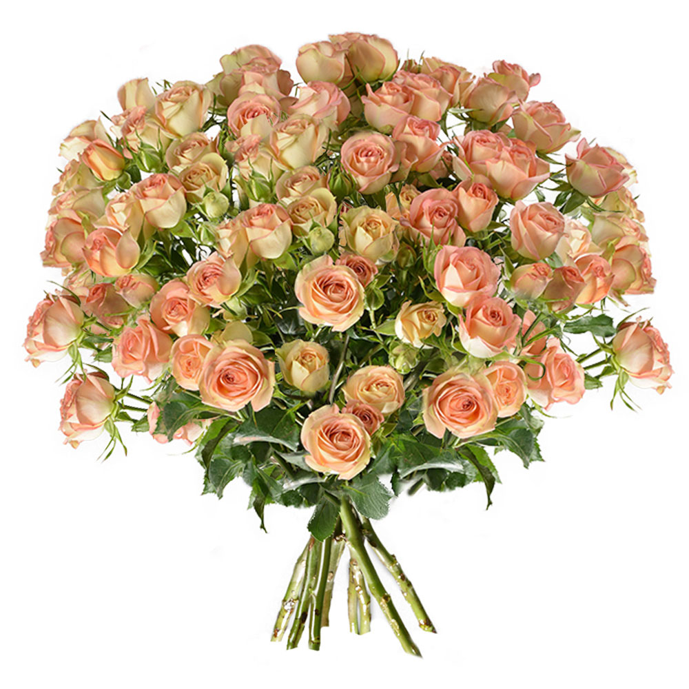 Roses Branchues Saumon livrées En Express | Florajet