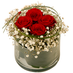 Collection fleurs d'amour