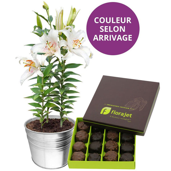 Cadeaux Gourmands "LYS EN POT + ROCHERS" - Livraison Express | Florajet
