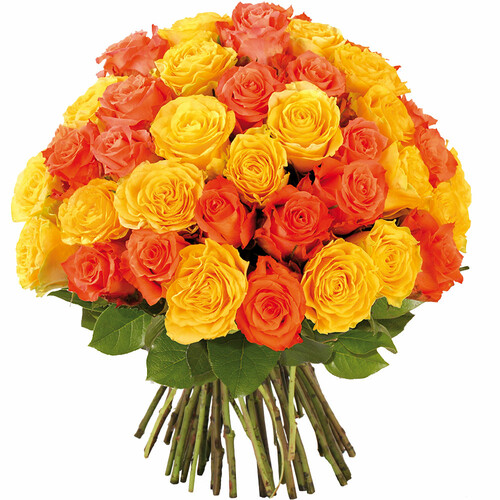 Bouquet de roses "CASTILLE" - Livraison Express | Florajet