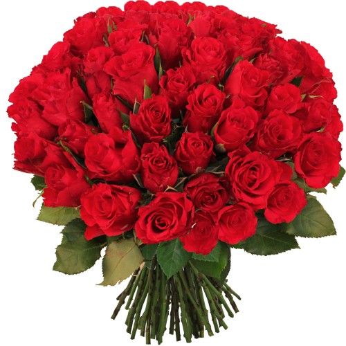 Bouquet 50 roses - Hemicardiac
