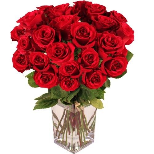 Bouquet de roses "25 EQUATEUR ROUGES+VASE" - Livraison Express | Florajet