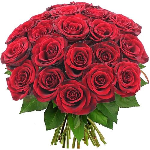 Bouquet de roses "20 ROSES ROUGES" - Livraison Express | Florajet